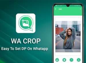 3 Best Ways to Set Your Full Photo as WhatsApp DP Without Cropping ...