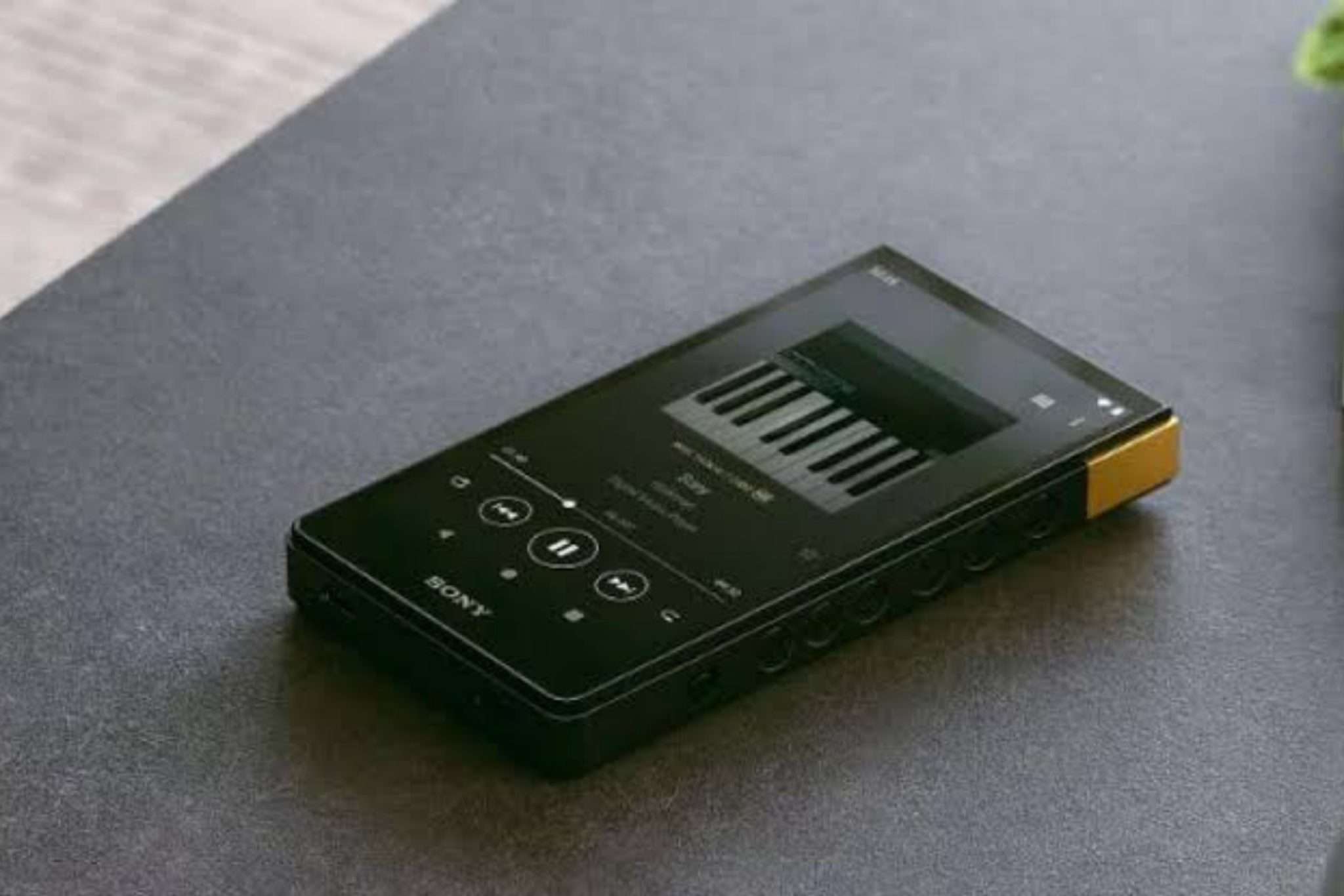 Sony has Launched NW-A306 Walkman in India: Know it's Price and ...